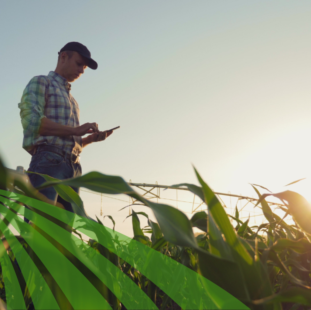 Conocenos - Agro Lucava