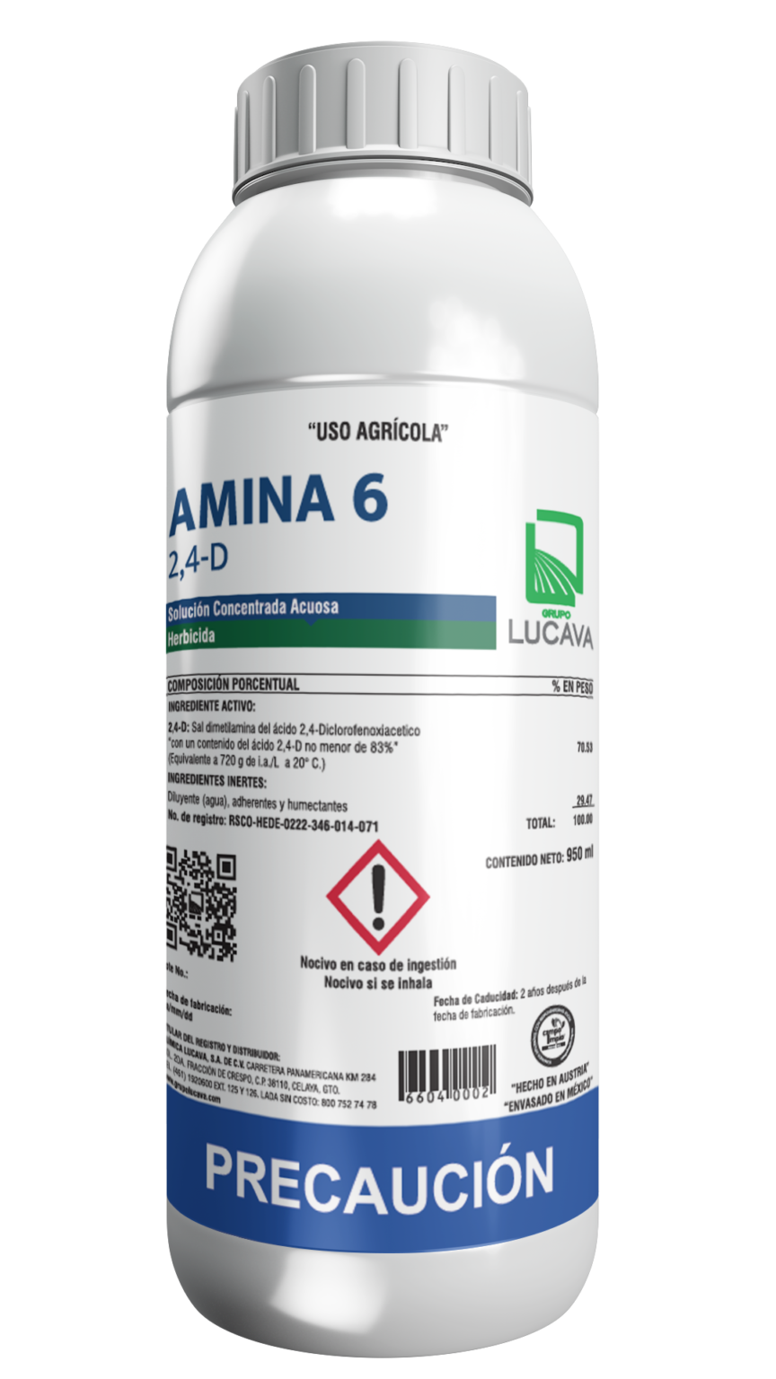 Amina 6 - Agro Lucava