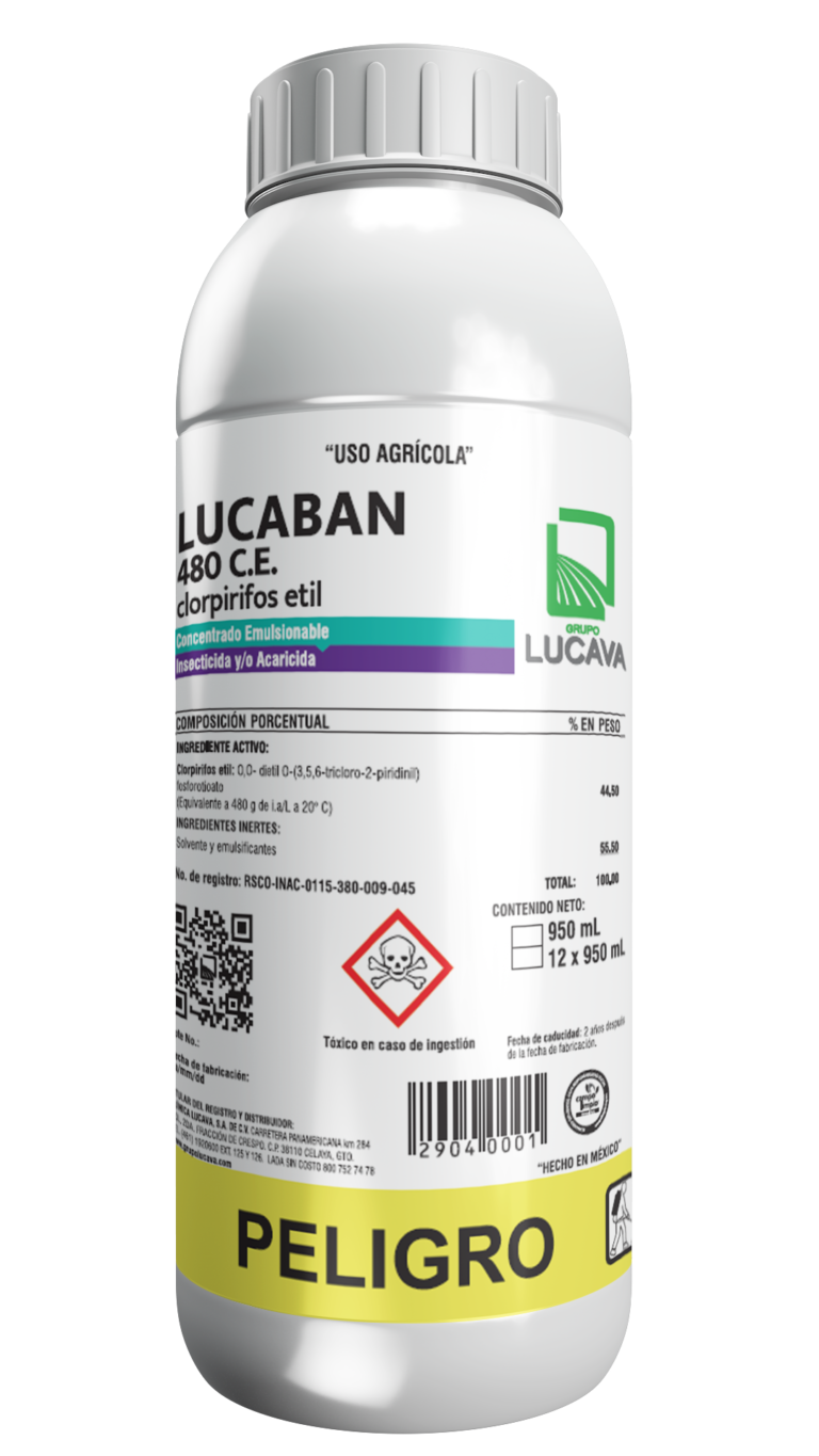 Lucaban 480 CE - Agro Lucava